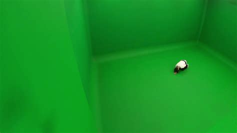 Fall Down Object Detection Dataset V1 2022 04 13 1 46am By Ko Hyejung