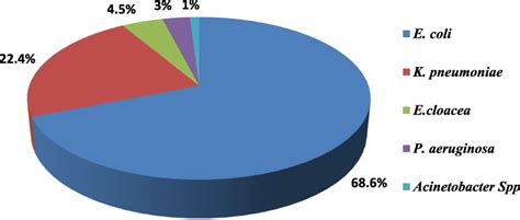 Extended Spectrum β Lactamase And Carbapenemase Producing Gram Ne Idr