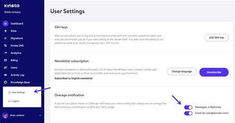 Visitor Disk Space CDN And Bandwidth Overages Kinsta