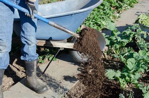 How To Make Your Garden Soil More Acidic 5 Ways And What To Avoid