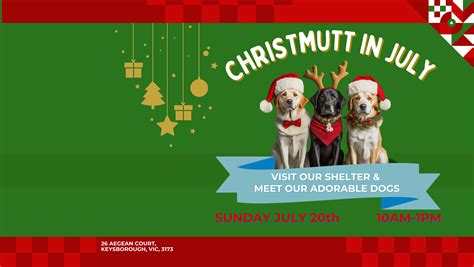 Feline And Friends Cat Rescue Feline And Friends Cat Rescue