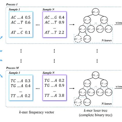 the schematic diagram of producing k mer frequency matrix the k mer
