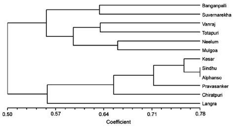 Upgma Dendrogram Based On Jaccards Similarity Coefficient Revealing