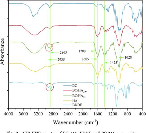 Figure 2 From A Covalently Cross Linked Hyaluronic Acidbacterial Cellulose Composite Hydrogel