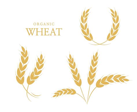 Premium Vector Rice Panicles Agriculture Wheat Laurel Wreath Icon