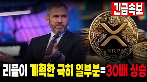 리플 전망 리플 30배 상승 긴급속보 리플 Xrp Sec 리플소송 크립토바이브 갈링하우스 Rlusd 리플스테이블코인 Youtube