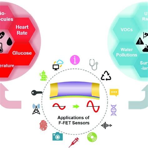 Applications Of F‐fet Devices As Sensors Download Scientific Diagram