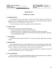 Exploring Epithelial Tissue Characteristics Functions Course Hero