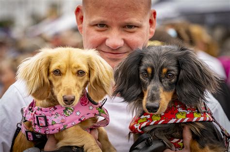 Ssm0191 Semaphore Street Fair