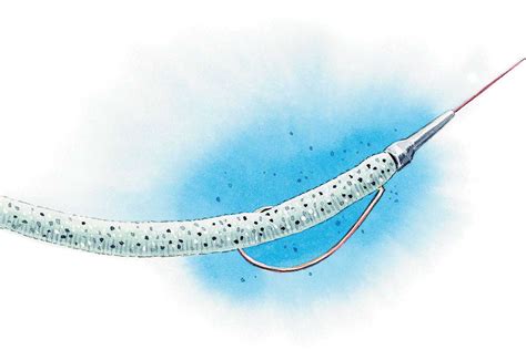 How To Fish The Texas Rig For Bass In Ponds