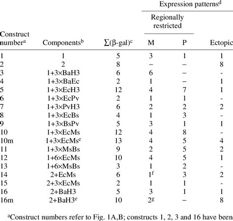 Overview Of Expression Patterns Obtained With Different Reporter Constructs Download Table