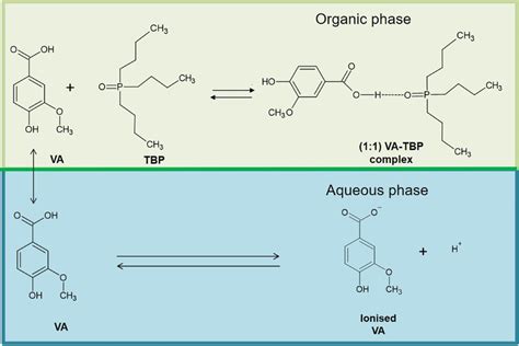 Pictorial Representation Of Reactive Extraction Of Vanillic Acid Va Download Scientific