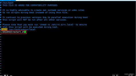 还在手动启动java程序？linux设置开机自启动java脚本启动java程序 三种方式java Swing Linux 开机自启 Csdn博客