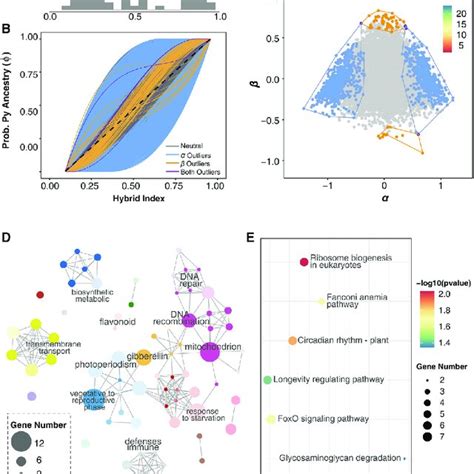 Bgc And Functional Annotation Of Introgression Outlier Loci Download Scientific Diagram