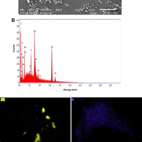 Sem Image A Edx Analysis B And Element Mapping Images Ag Fe O