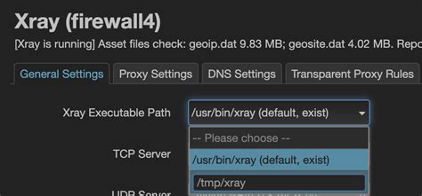 Any Way To Put Xray In Temp Issue Yichya Luci App Xray GitHub