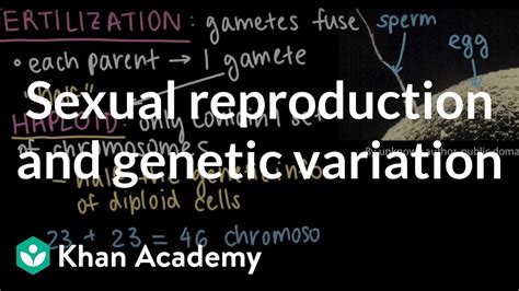 Sexual Reproduction And Genetic Variation Middle School Biology