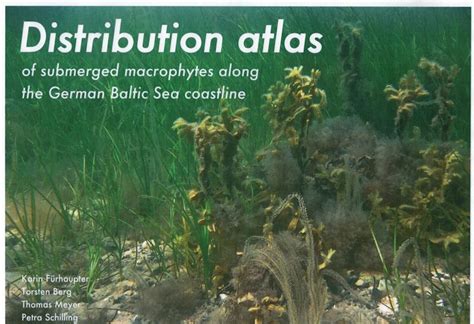 Distribution Atlas Of Submerged Macrophytes Along The German Baltic Sea Coastline Veldshop Nl