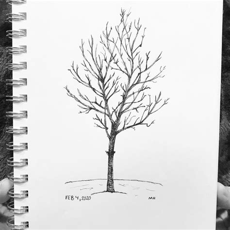 Tree Drawing Exploring Pen Techniques