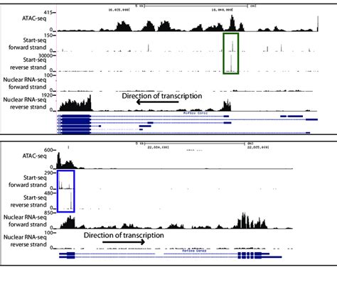 A Panel 1 Left Heatmap Of Atac Seq Signal Mapping In A 20 Kb Window Download Scientific