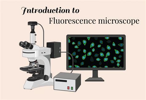 Fluorescence Microscope Rs Science