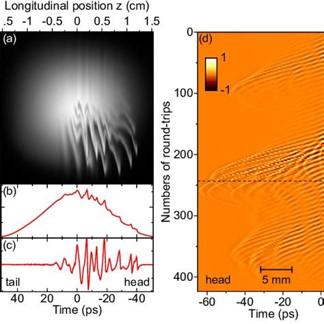 Numerical Simulation Of The Relativistic Electron Bunch Dynamics A Download Scientific