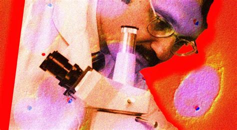 Dna Testing Firm Vanishes With Highly Sensitive Customer Genetic Data Security And Privacy News