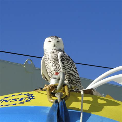 Mission Accomplished Nine Years Of Ocean Data In Support Of Solid Science Ocean Observatories