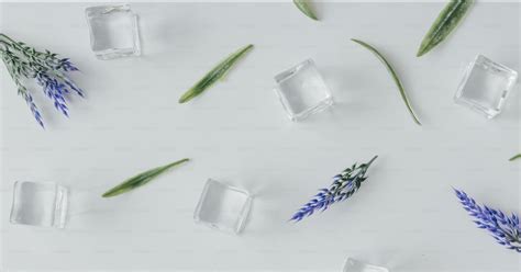 밝은 배경에 얼음 조각 나뭇잎 꽃의 창조적 인 패턴 플랫 레이 여름 음료 최소한의 개념 사진 Unsplash의 추상적인 이미지