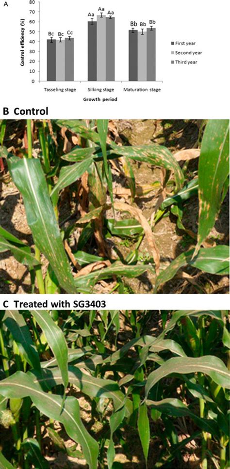 Colour Online Control Efficiency Of T Atroviride Sg3403against Sclb Download Scientific