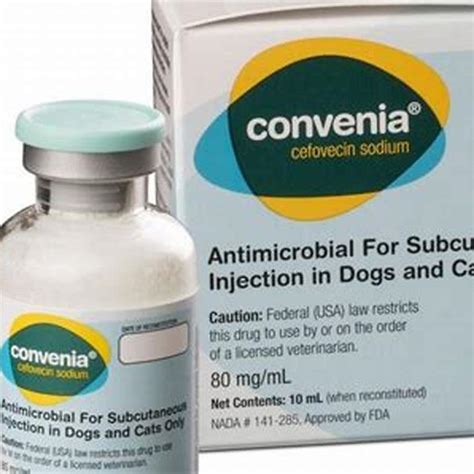 What Is Doxycycline Used To Treat In Cats DIY Seattle