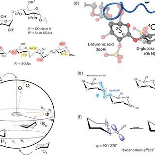 Common Gag Conformations Around The Glycosidic Linkage Can Be