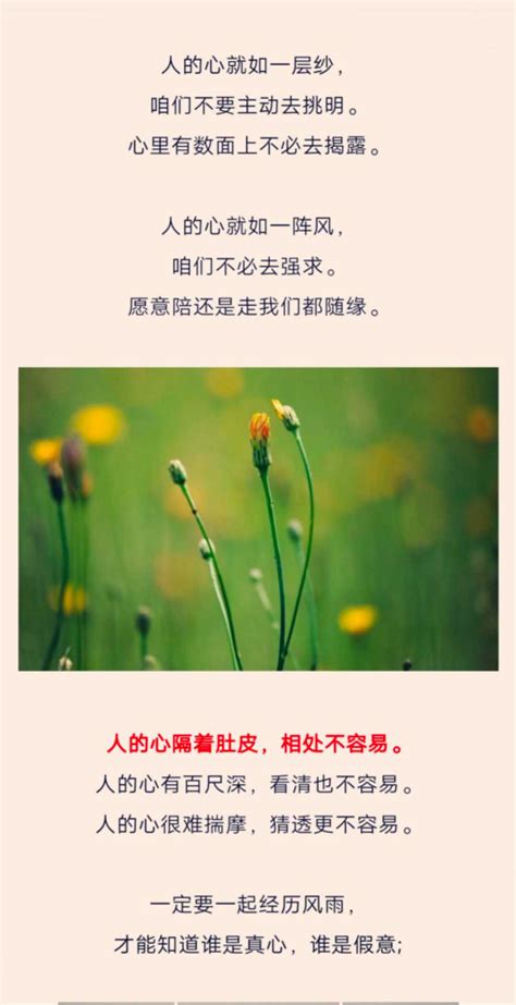 感悟带字图片 风景图片 幽默 第10页 大山谷图库