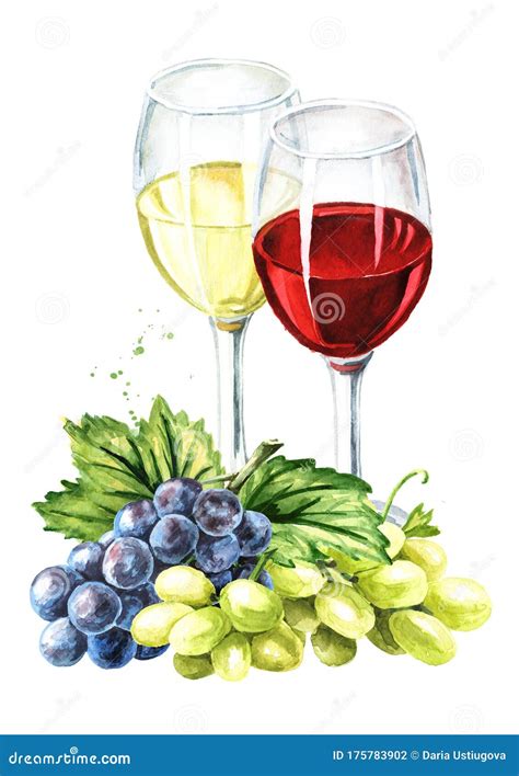 Wine Glasses And Bottles Guide Infographic Colorful Vector Wine Glass