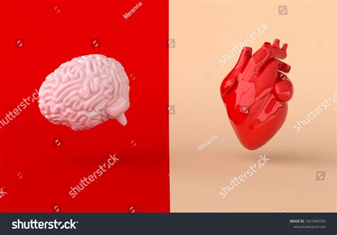심장과 뇌 3d 렌더링감정이나 이성적 사고 스톡 일러스트 1561843756 Shutterstock