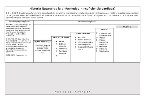 Historia Natural De La Insuficiencia Cardiaca Y Sus Factores De Riesgo