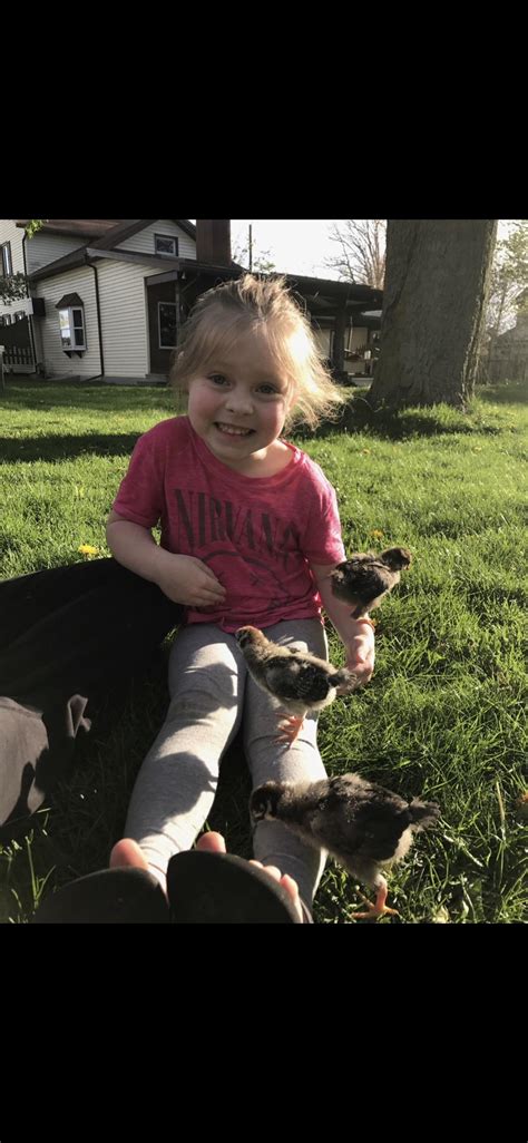 Learned The Chickens Love My Baby Cousin R Homestead