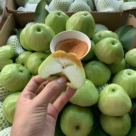 Mận Xanh Đường Trái Giòn Thanh Ngọt Tự Nhiên Hoàng Khôi Food