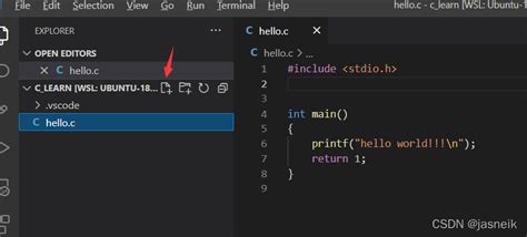Windows 10 下利用wsl的linux环境实现vscode Cc环境的配置vscode使用lws环境 Csdn博客