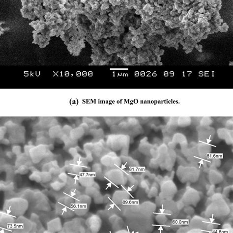 Ftir Spectra Of Mgo Nanoparticles Download Scientific Diagram