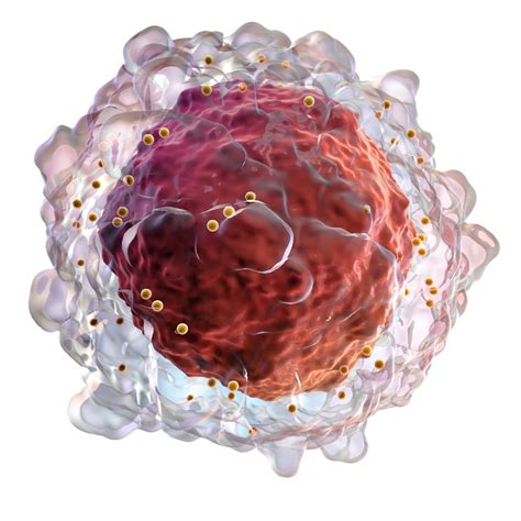 Hematopoyesis Genially