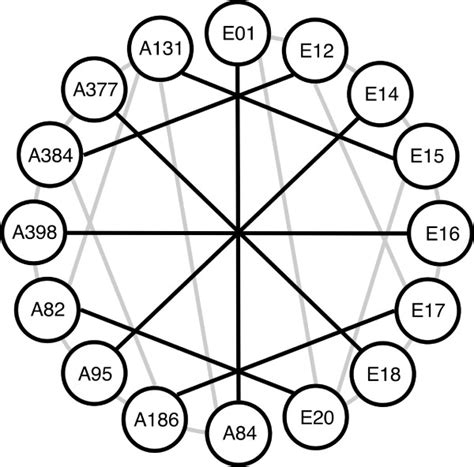 Microarray Hybridization Scheme Each Node Represents One D Download Scientific Diagram