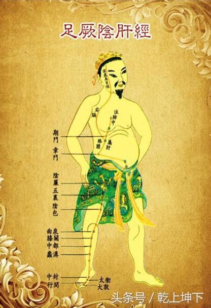 人體十二經絡圖解 每日頭條