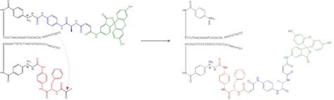 Programming Chemical Synthesis A Synthetic Ribosome University Of Oxford Department Of Physics