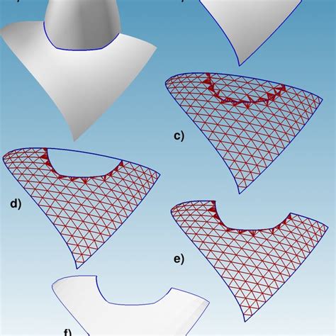The Phases Of The Patch Trimming Algorithm Download Scientific Diagram
