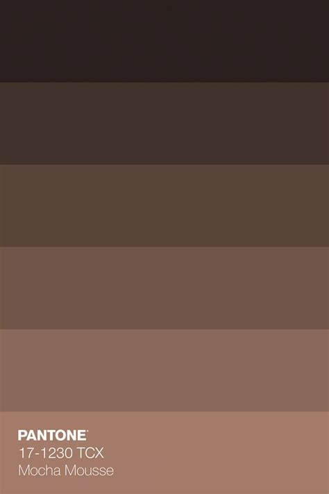 Pantone 2025 Mocha Mousse Color Palette Briana Roobbie