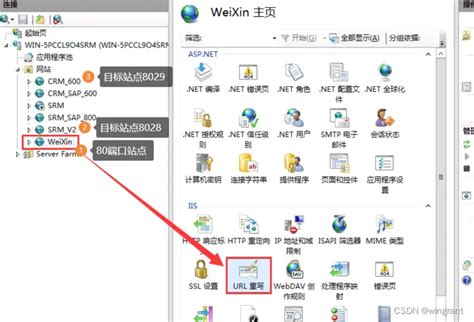 iis8 5反向代理实现80端口访问多个core程序 看不到application request routing 检查was跟