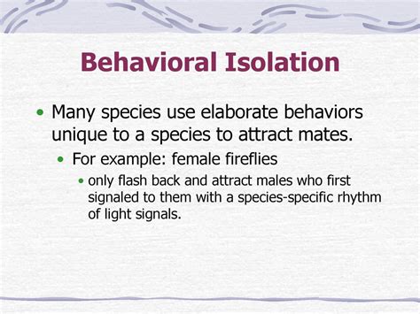 Behavioral Isolation Fireflies