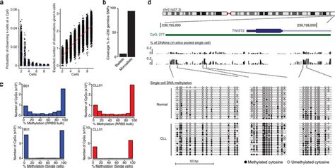Single Cell Dna Methylation Coverage Analysis A The Approximately 10