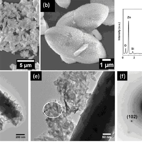 A Scanning Electron Micrograph Of Microwave Synthesized Zno B